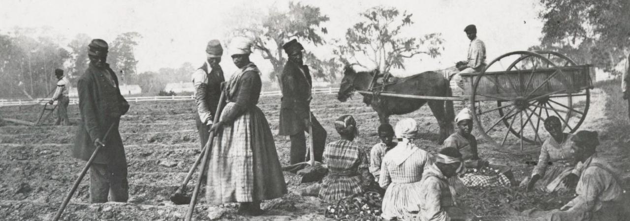 One-day Seminar - Reform Movements in America - Phoenix, AZ - Teaching ...